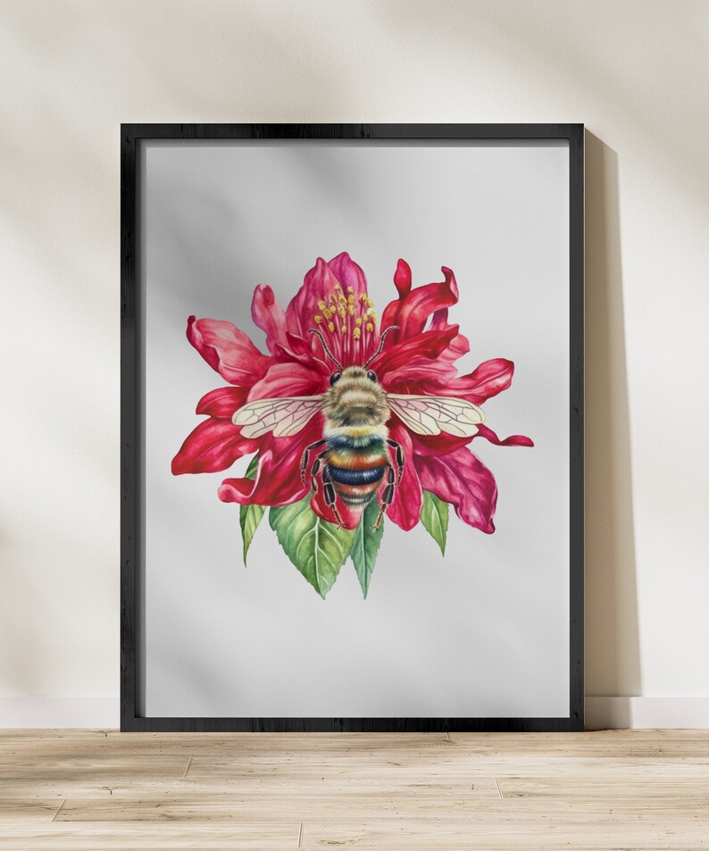 Watercolor Bee Balm- SVG Flowers, PNG Floral Clipart for Commercial Use ...