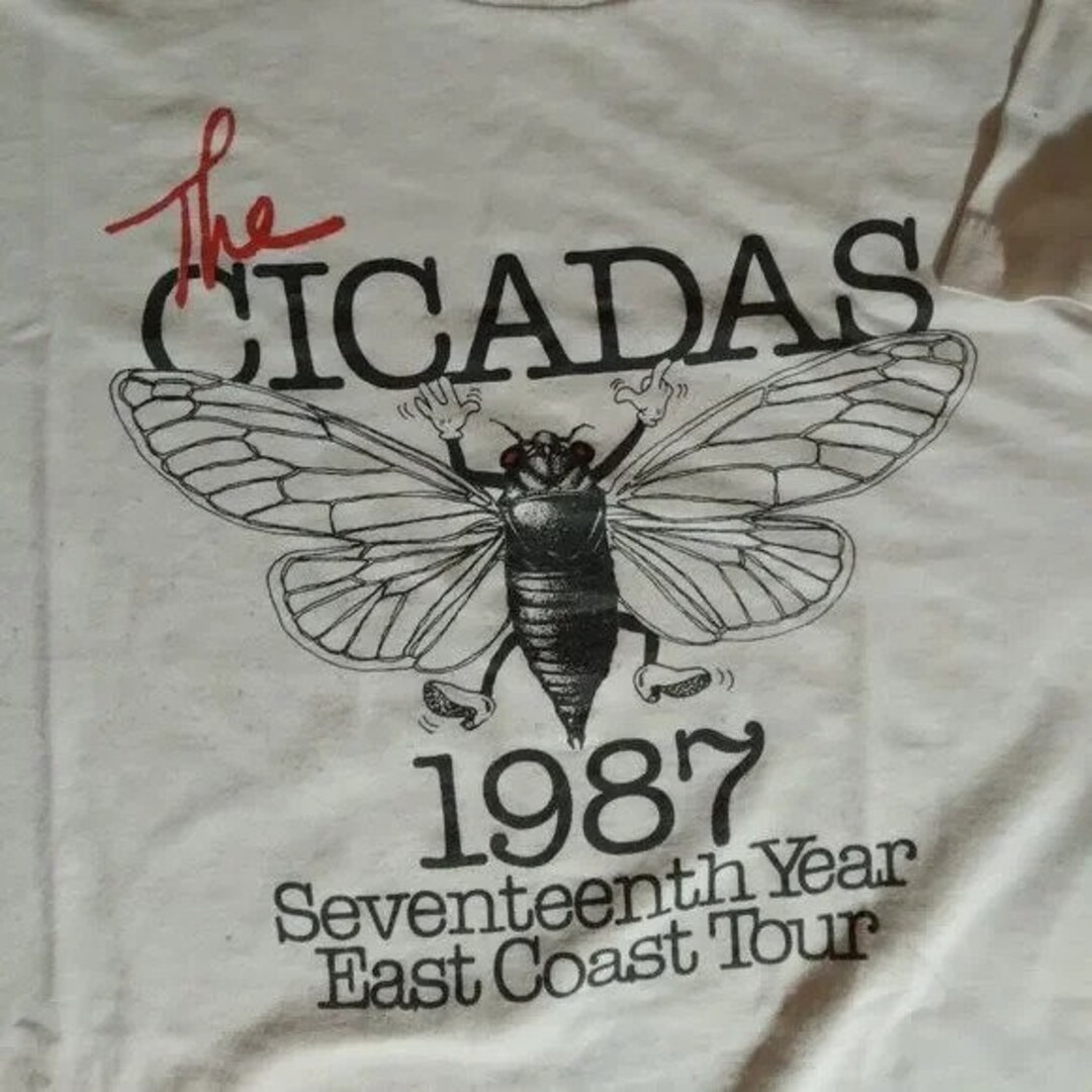 Vintage the Cicadas Seventeenth Year 1987 East Coast Tour T-shirt - Etsy
