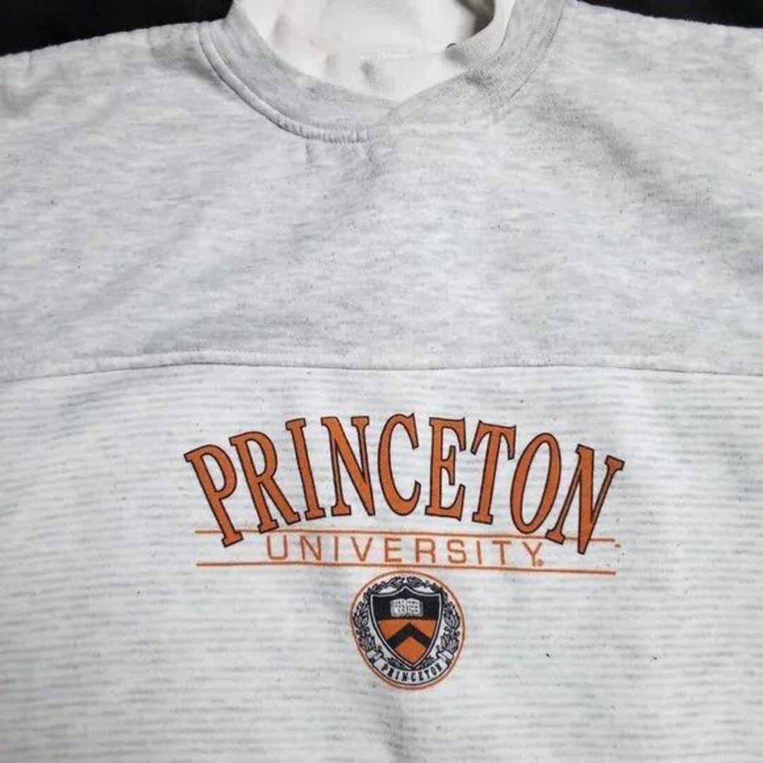 Vintage Princeton University Crewneck Sweatshirt - Etsy