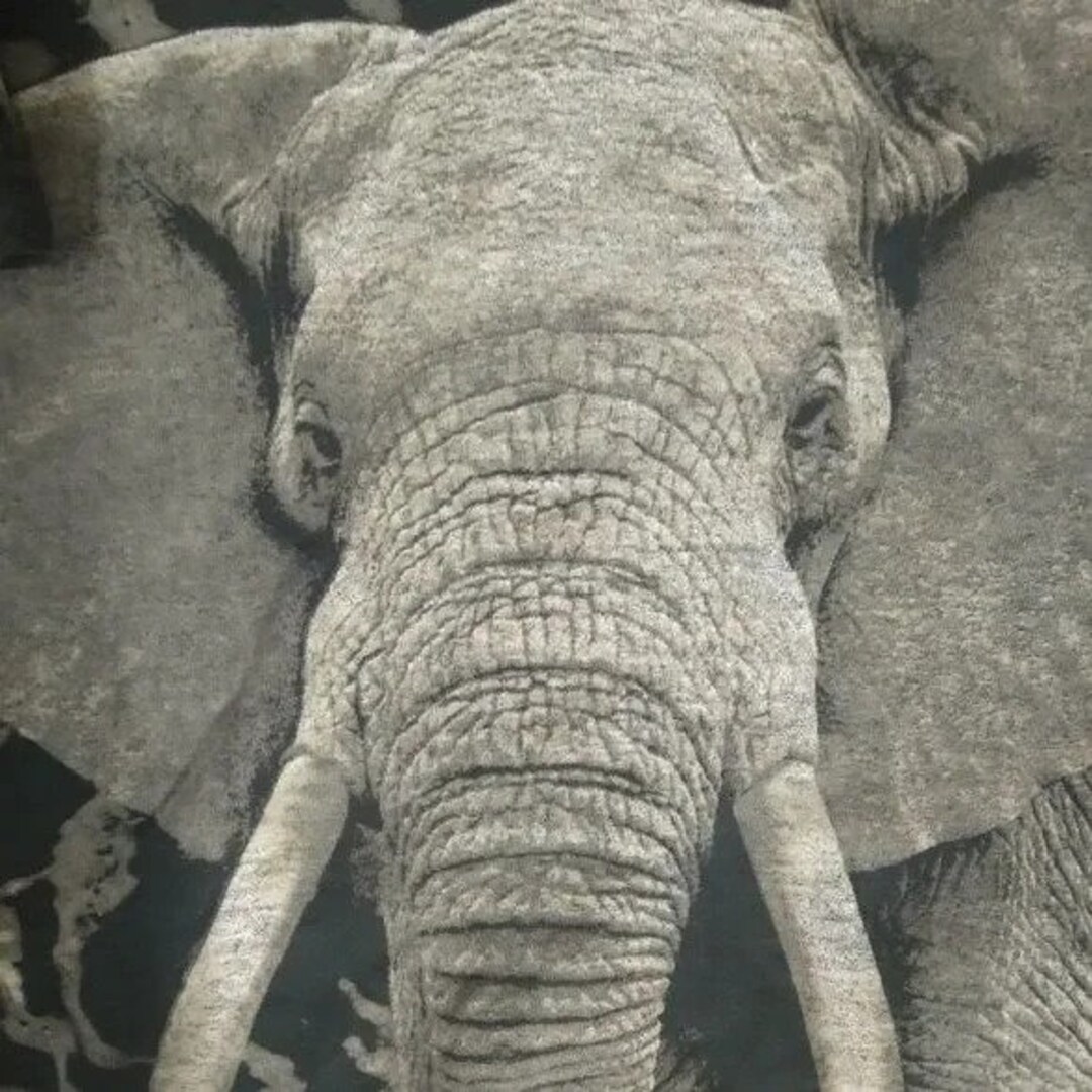 Vintage 90s Radical Nature Elephant Graphic AOP T-shirt - Etsy