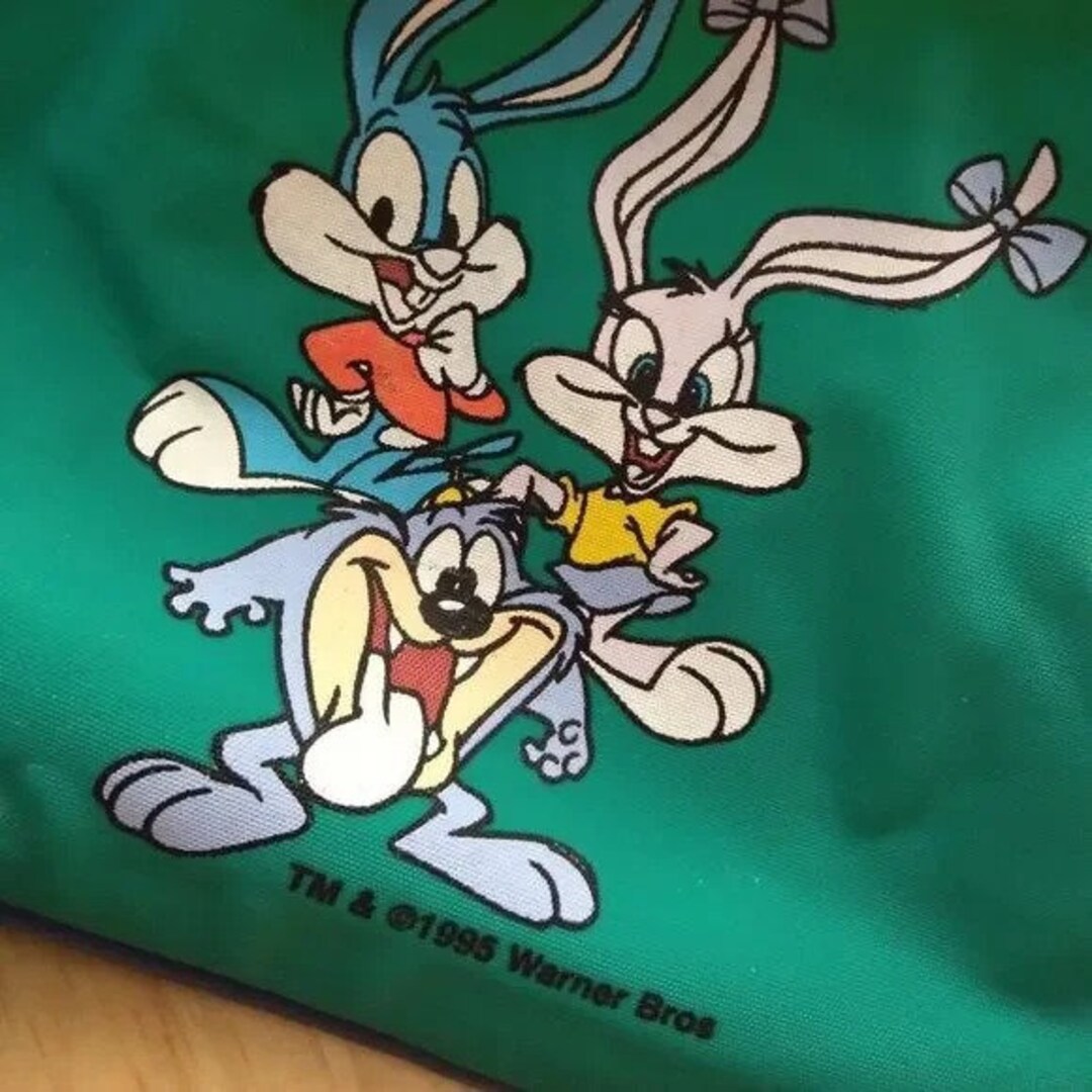 Vintage 90s Tiny Toons Color Block Fanny Pack Waist Pouch Belt Bag - Etsy