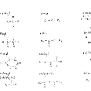 Common Functional Groups in Biomolecules - Digital Download ...