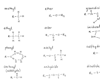functional groups biochemistry