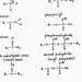 Common Functional Groups in Biomolecules - Digital Download ...
