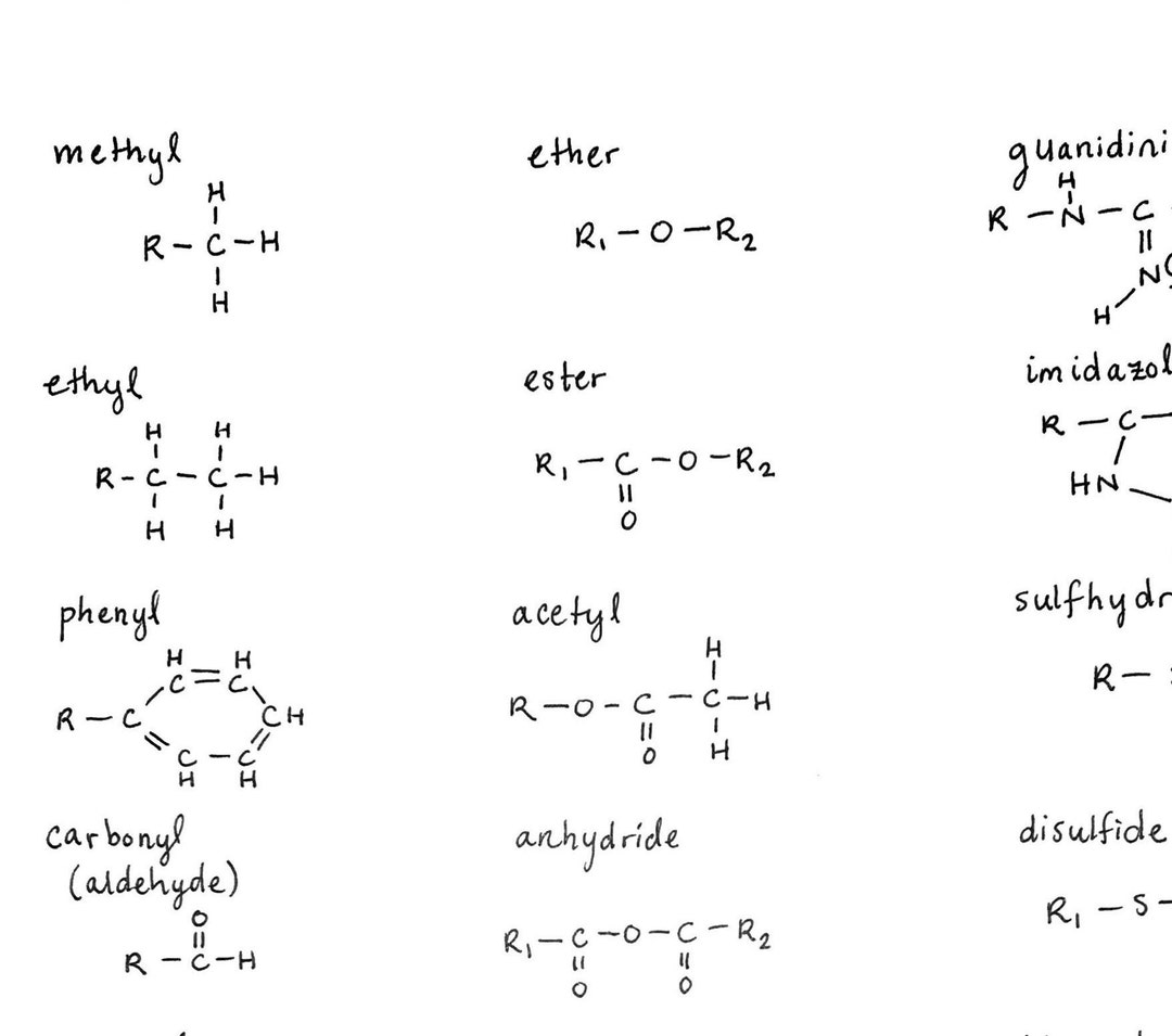 Common Functional Groups in Biomolecules - Digital Download ...