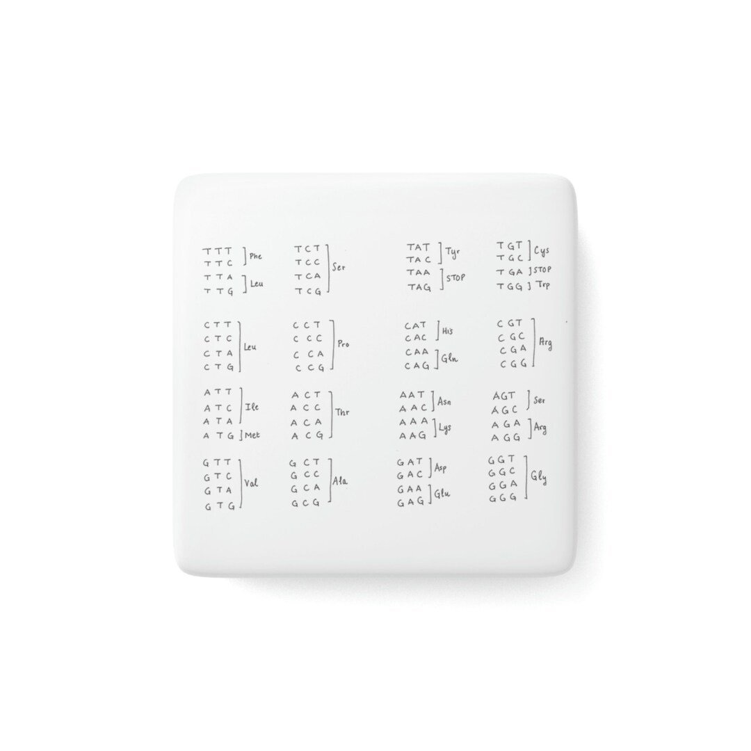 Cdna Codon Table Magnet - Porcelain Magnet, Square | Biochemistry ...