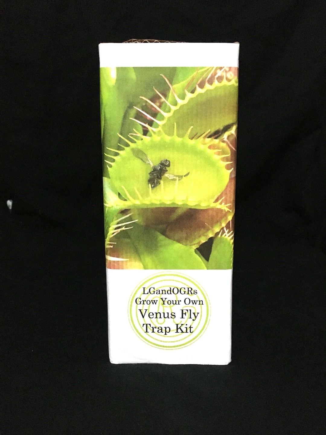 Venus Fly Trap Kit - Etsy