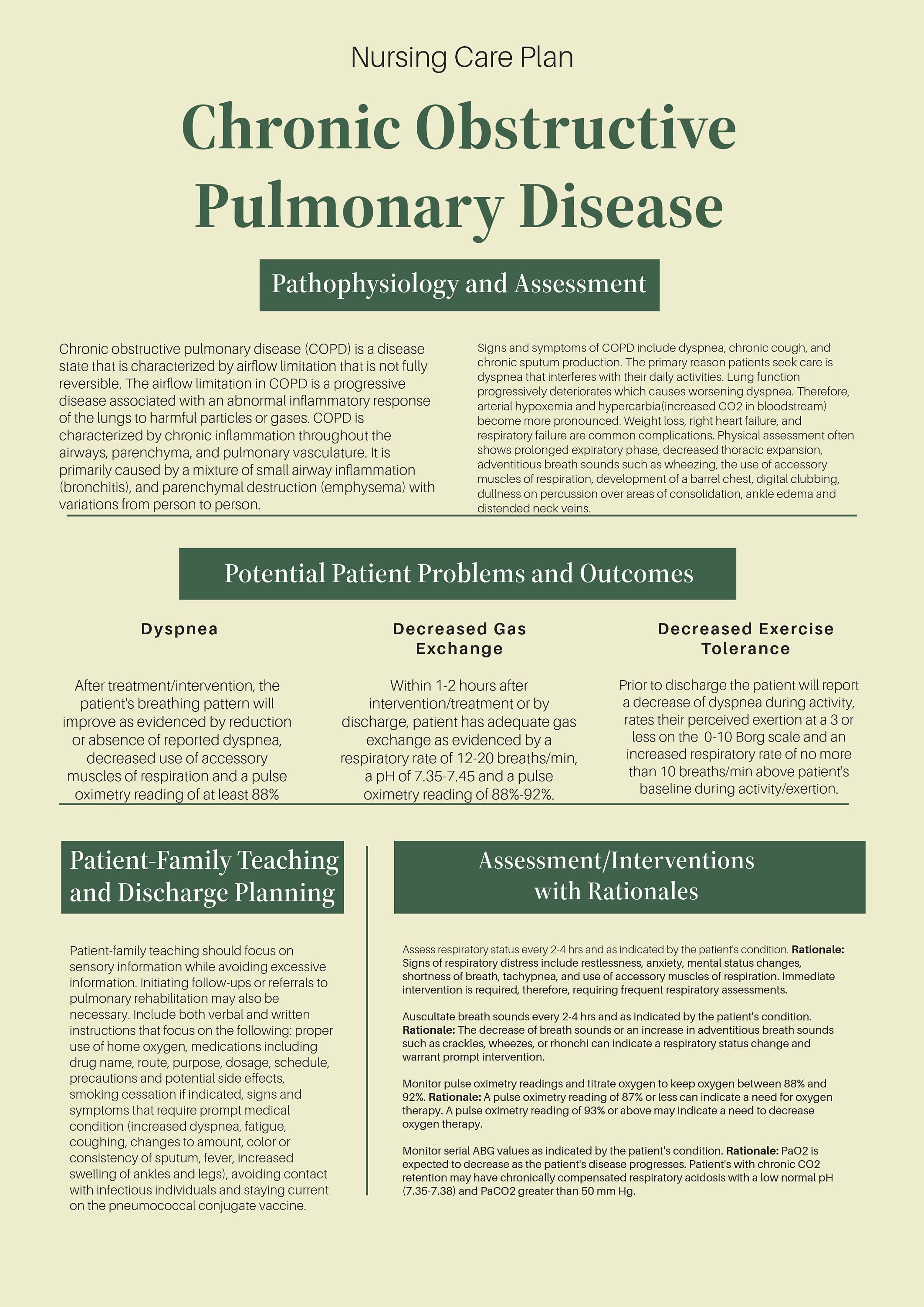 COPD Nursing Care Plan - Etsy