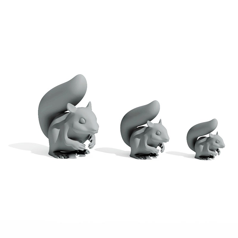 Squirrel Dnd Mini - Etsy