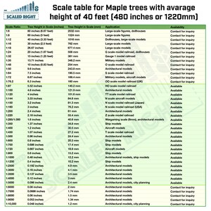 Maple Tree Model, Model Houses, Railway Model, Wargame Model ...