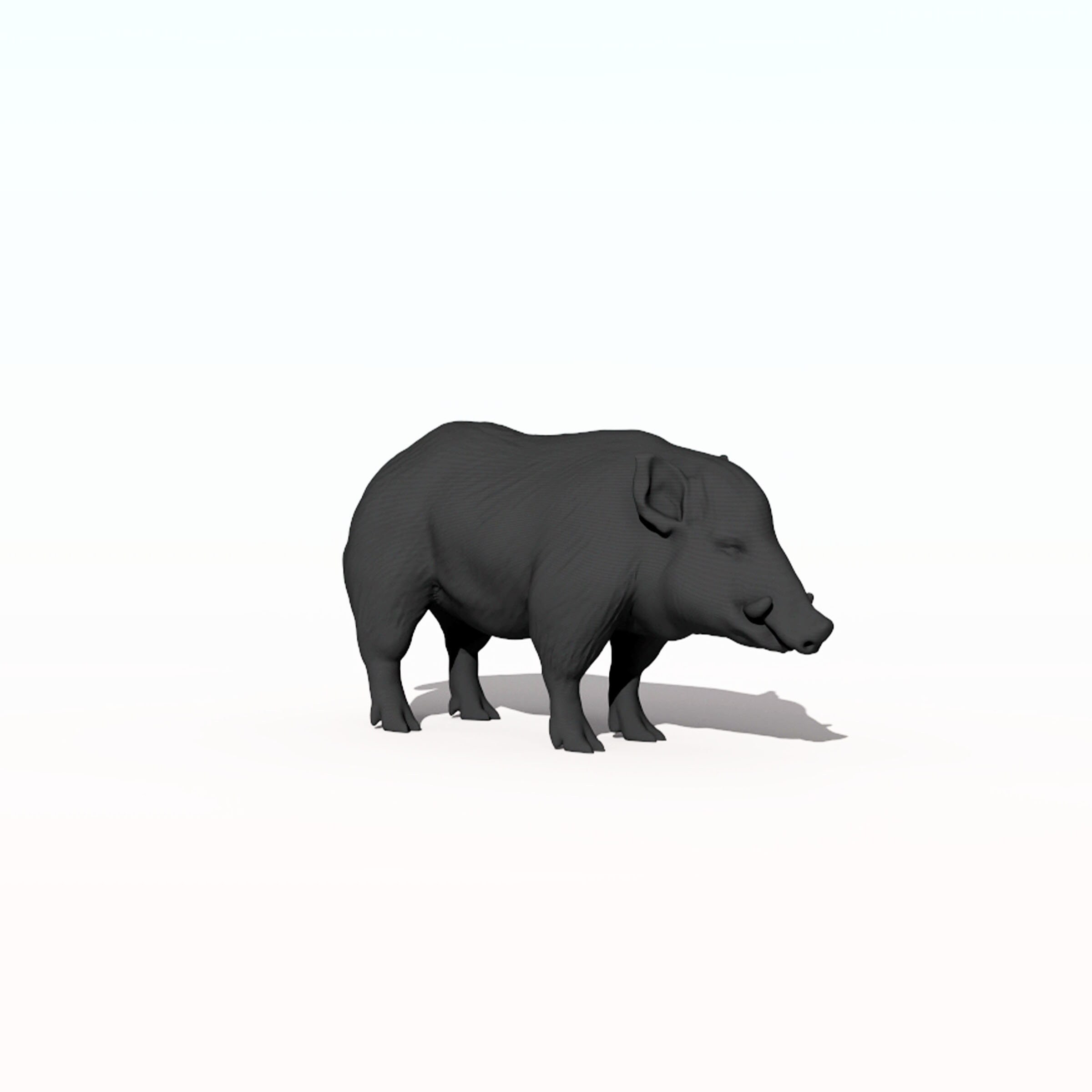 Wild Boar Model, Miniature Wild Boar, Wild Boar Model Houses, Railway ...