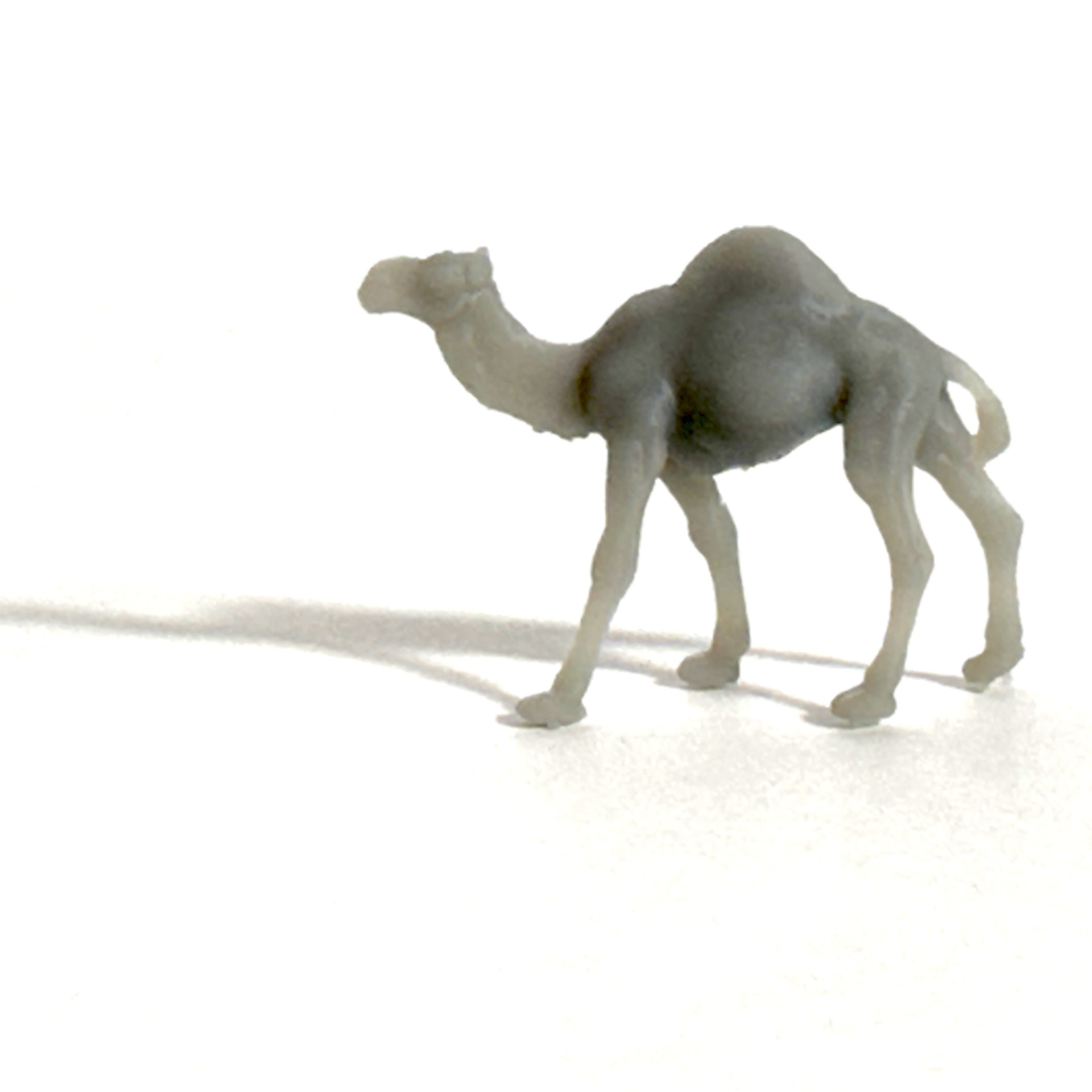 Camel Model Camel Model Houses Railway Model Wargame - Etsy