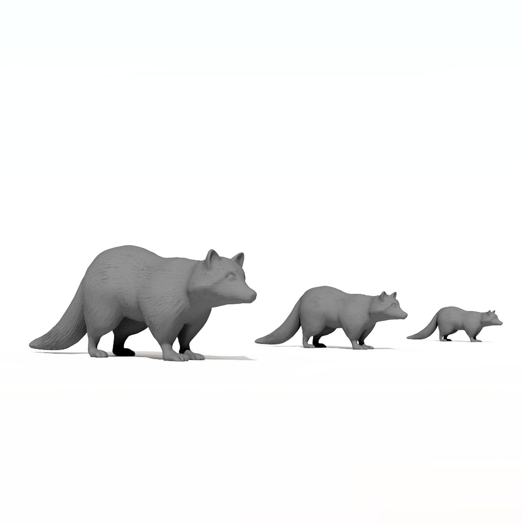 Raccoon Model, Model Houses, Railway Model, Wargame, Architecture Model ...