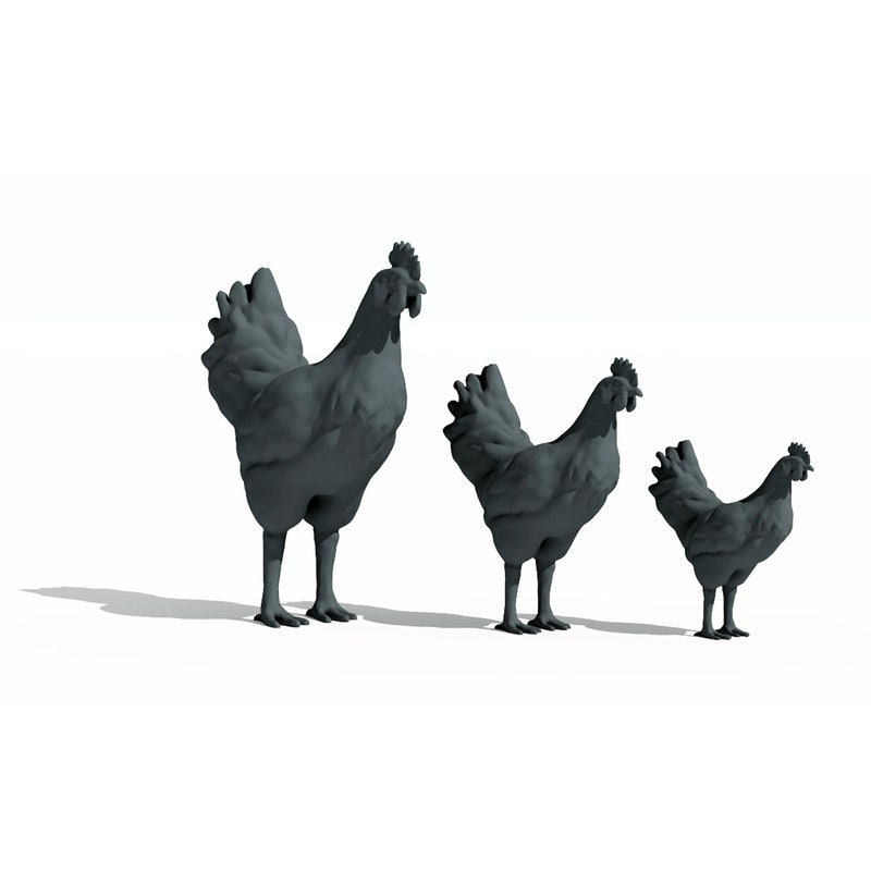 Miniature Roosters - Etsy