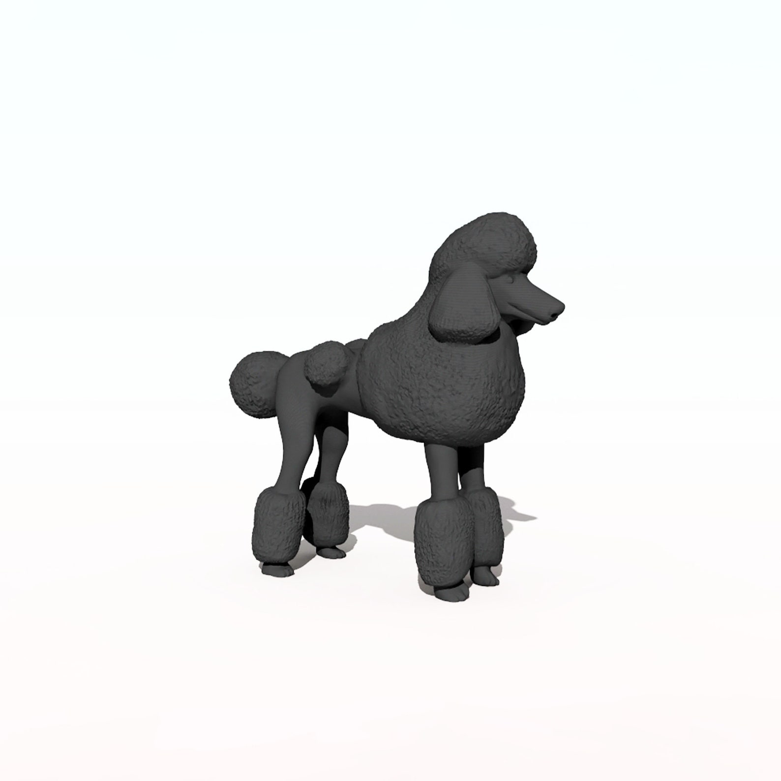 Poodle Model, Miniature Poodle, Poodle Model Houses, Railway Model, Architecture Model ...