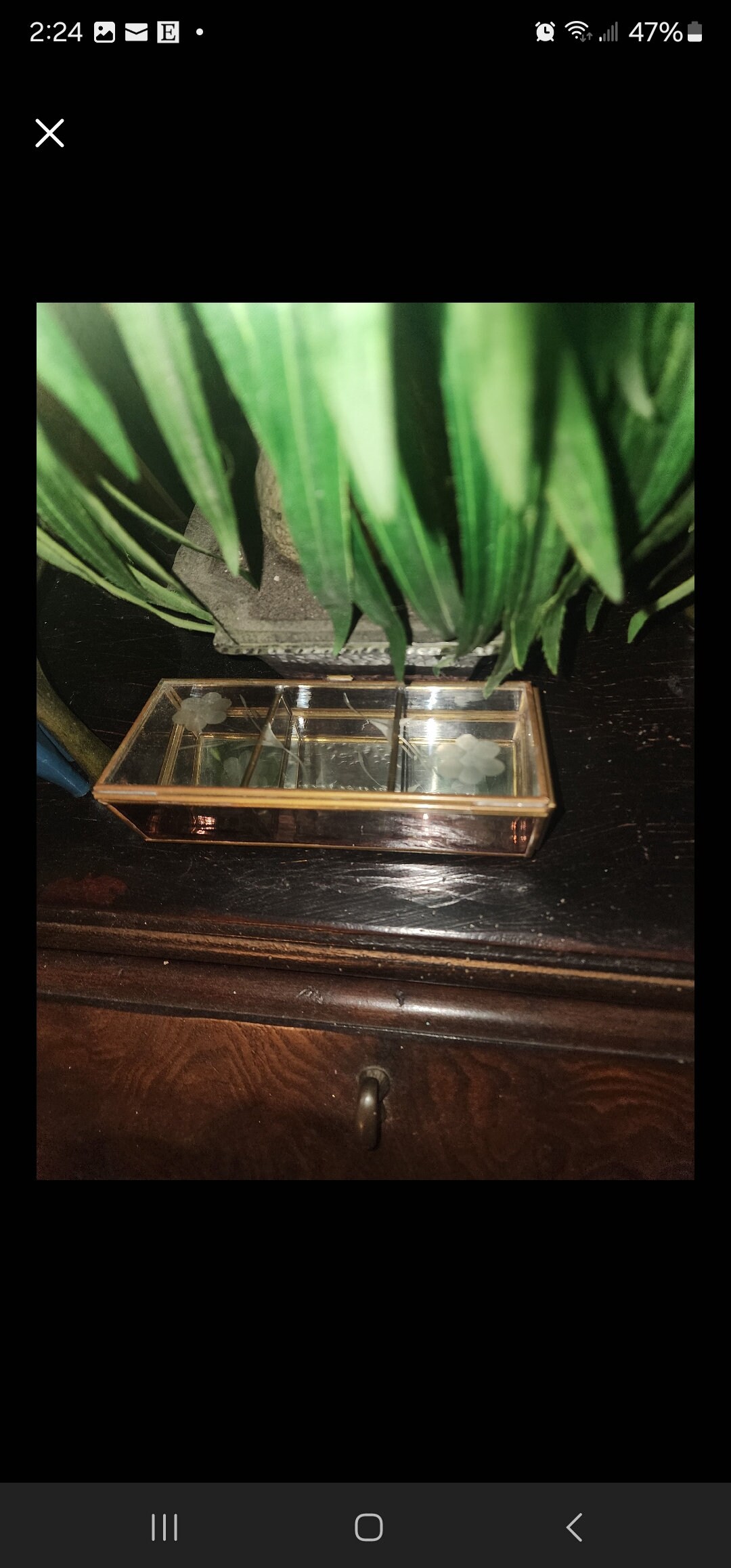 Vintage Brass and Glass Curio Display Box - Etsy