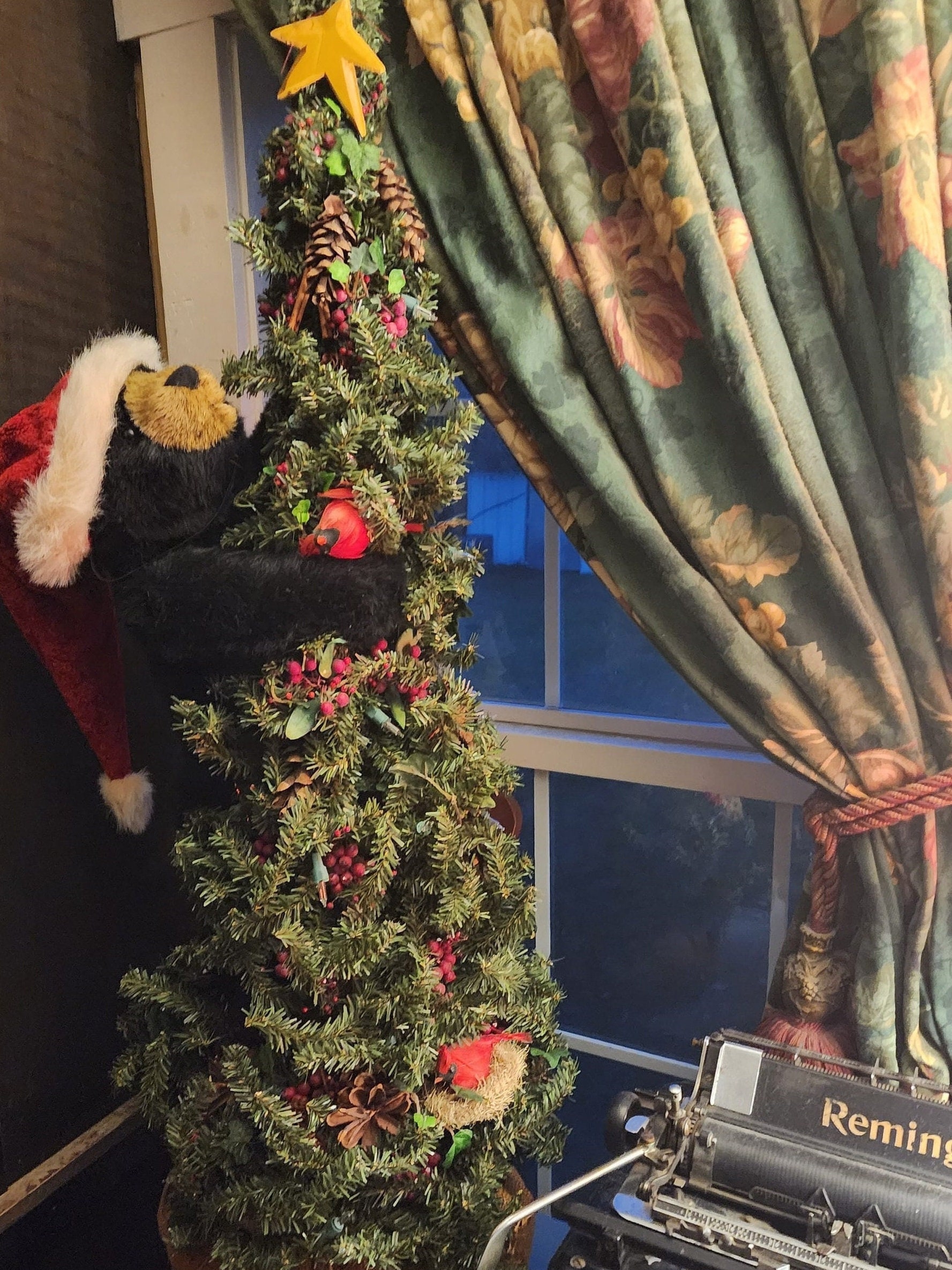 Ditz Design Black Bear Climbing Christmas Tree 40 In. - Etsy