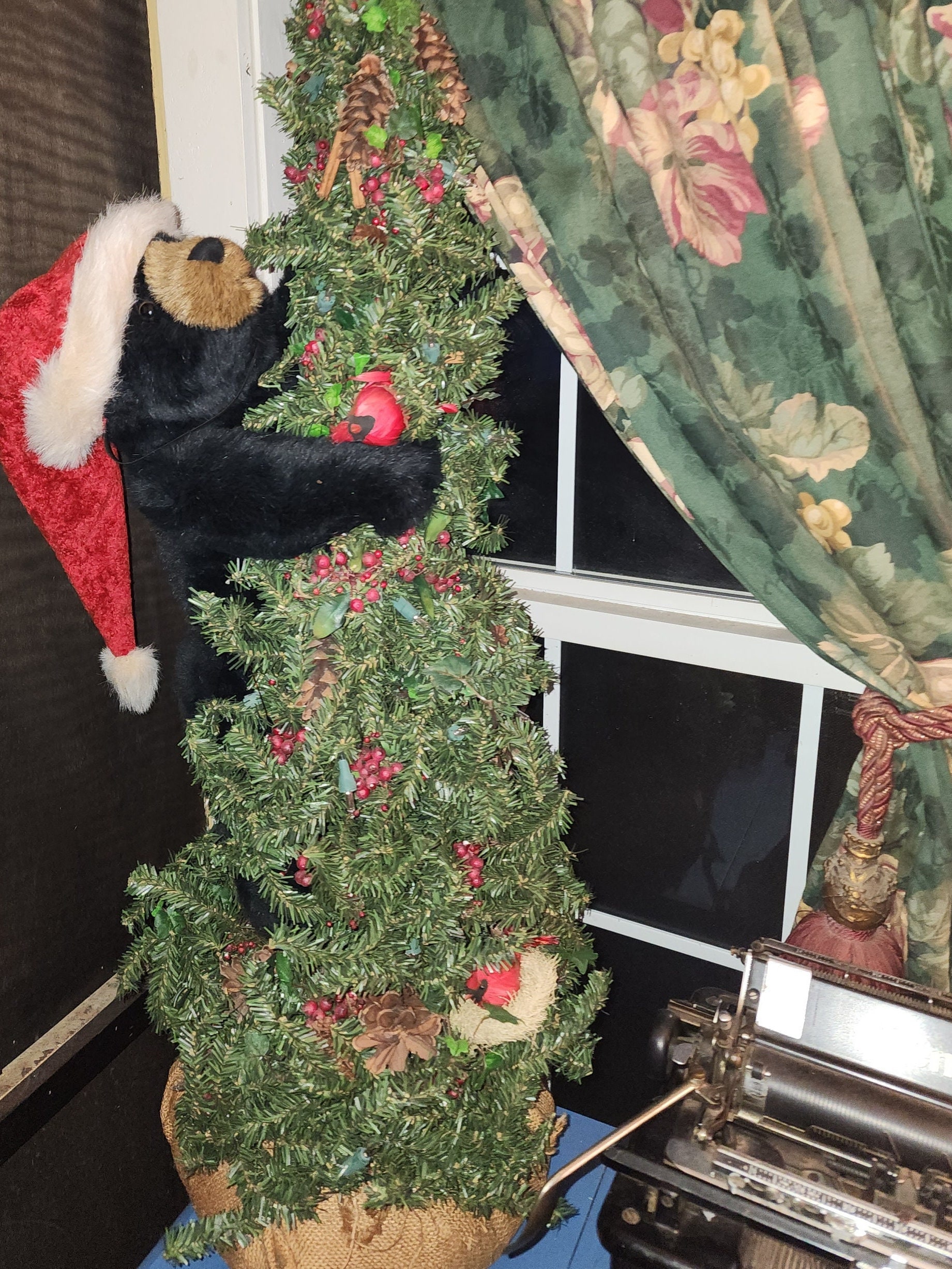 Ditz Design Black Bear Climbing Christmas Tree 40 In. - Etsy