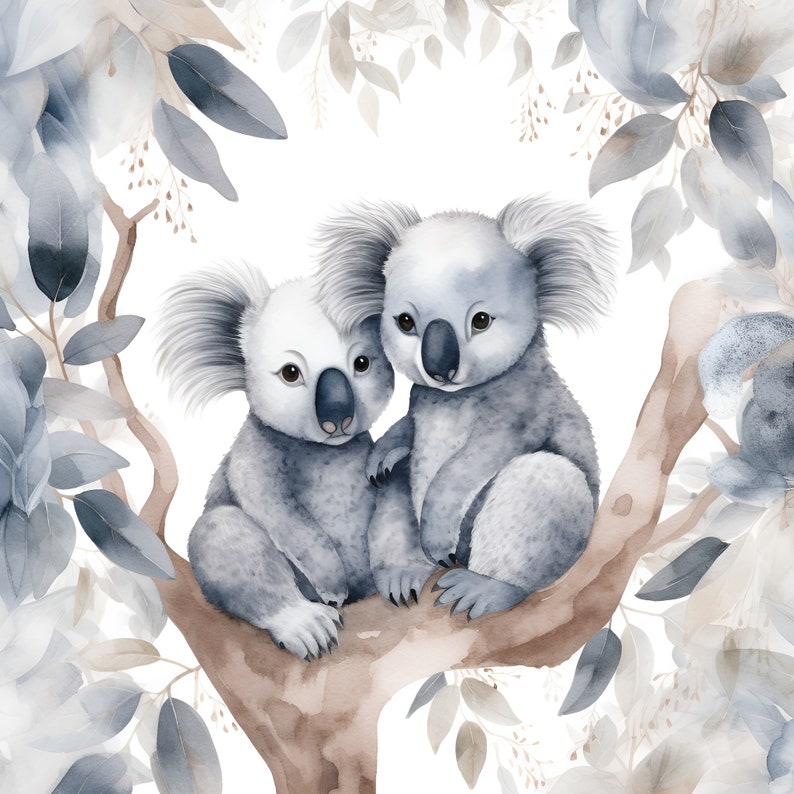 Koala Watercolor Clipart, Cute Koala Png, Nursery Decor, Baby Shower - Etsy
