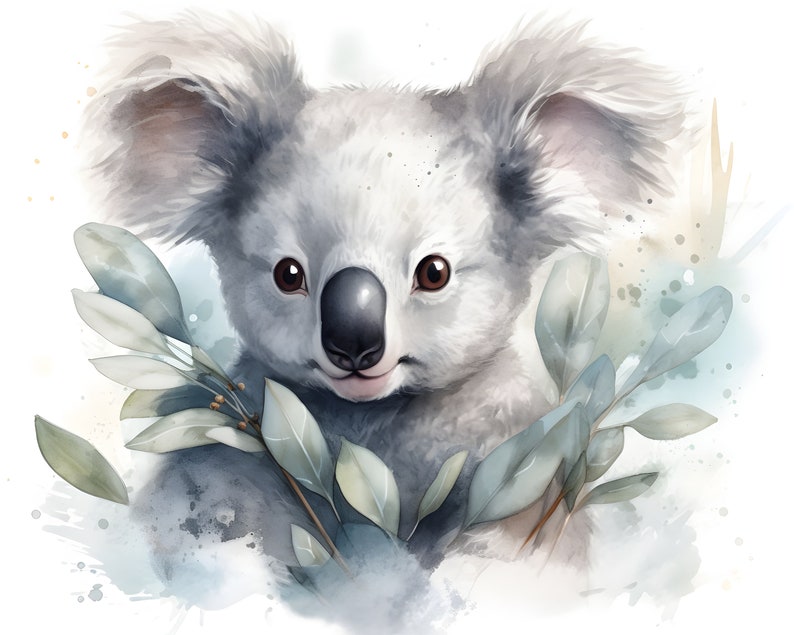 Koala Watercolor Clipart, Cute Koala Png, Nursery Decor, Baby Shower - Etsy