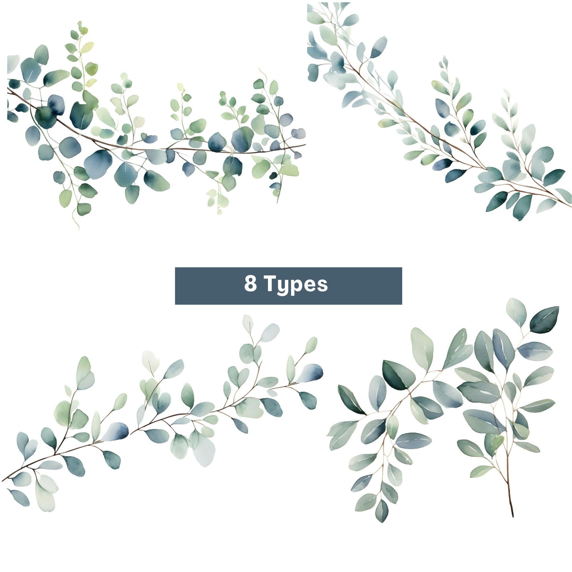 Watercolor 8 Eucalyptus Digital Download PNG Graphics Commercial or ...