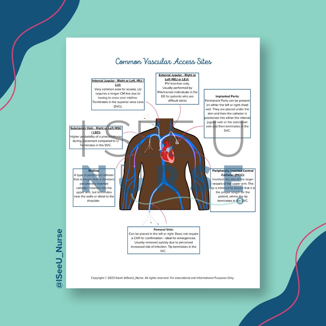 Common Vascular Access Resource for Nurses - Etsy