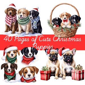 Christmas Puppies Clipart Bundle: Holiday PNG Graphics (20 Pages) - Etsy