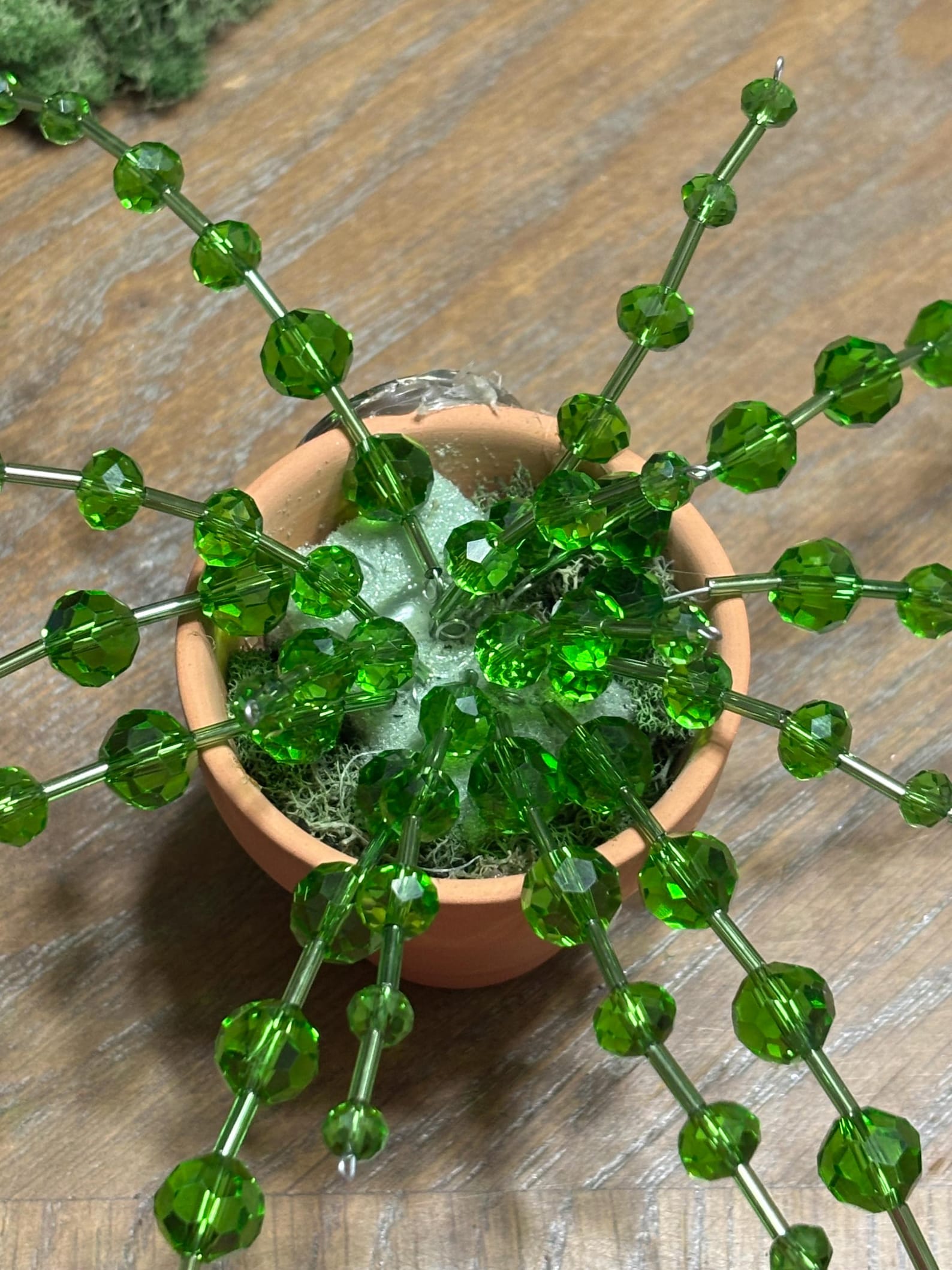 Beaded Plant Fridge Magnet Pattern, String of Pearls, Digital Download ...