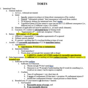 UBE Bar Exam Outline - I Scored in Top 2% - Etsy