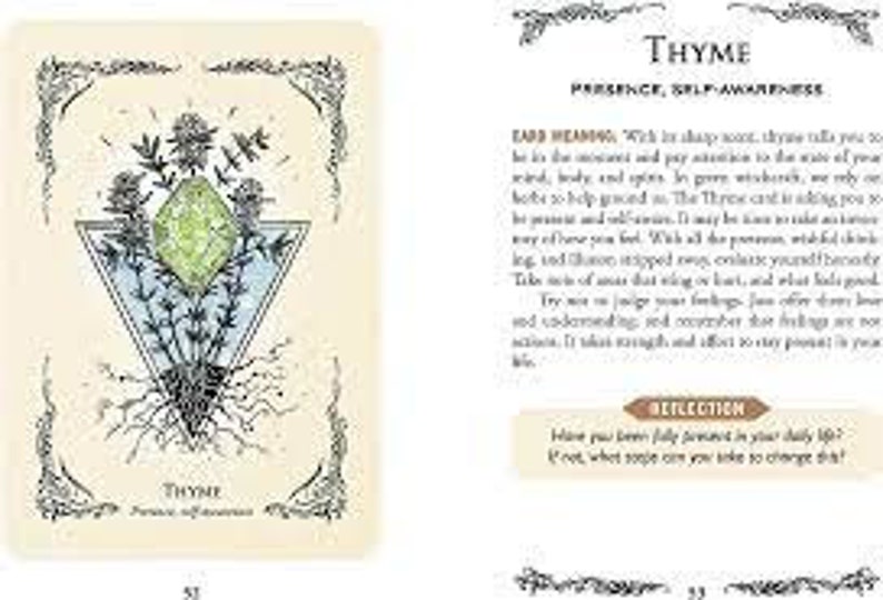The Green Witch Oracle Deck NEW RELEASE Embrace the Wisdom and Insight ...
