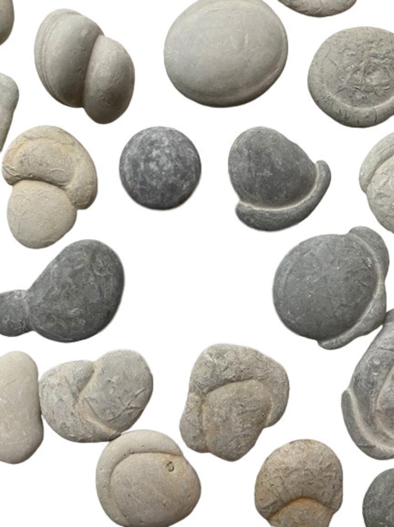 Fairy Stone Concretions Genuine Natural Canadian Concretion - Etsy