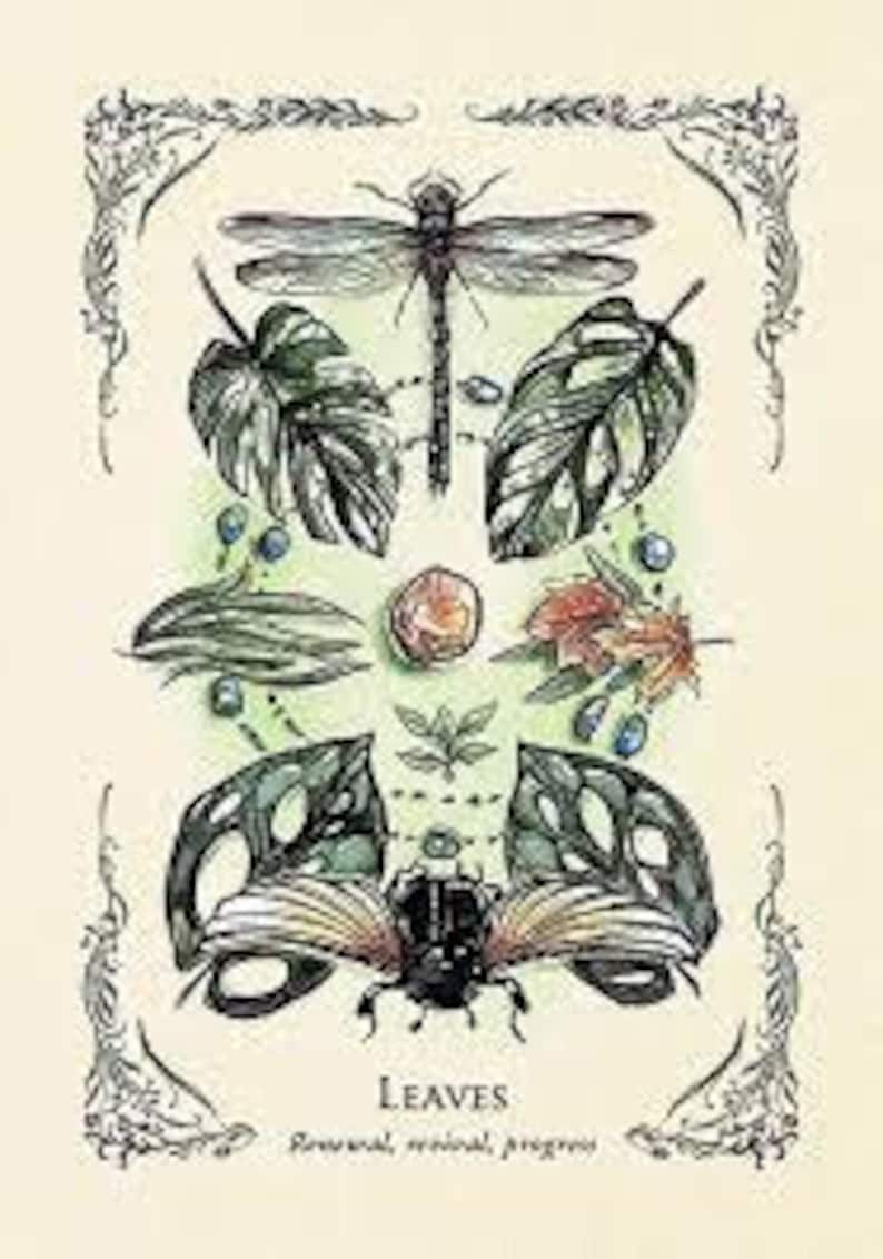 The Green Witch Oracle Deck NEW RELEASE Embrace the Wisdom and Insight ...