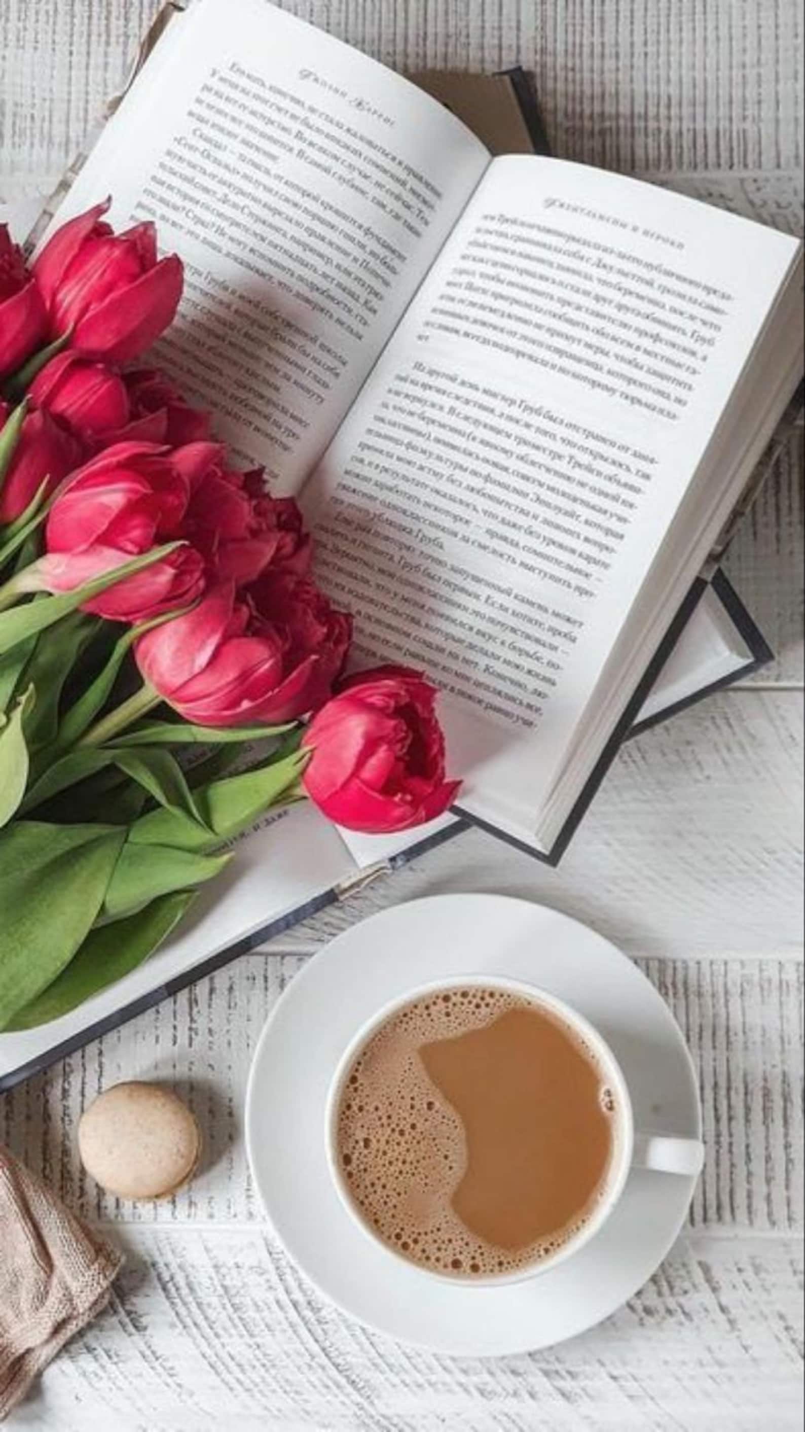 From the Cauldron Born Exploring the Magic of Welsh Legend - Etsy