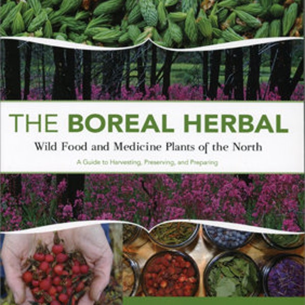 Boreal Forest - Etsy