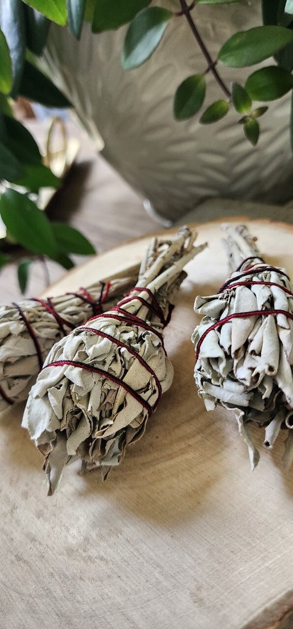 Dried Sage Bundles