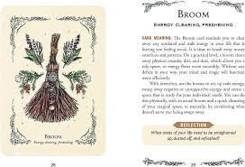 The Green Witch Oracle Deck NEW RELEASE Embrace the Wisdom and Insight ...