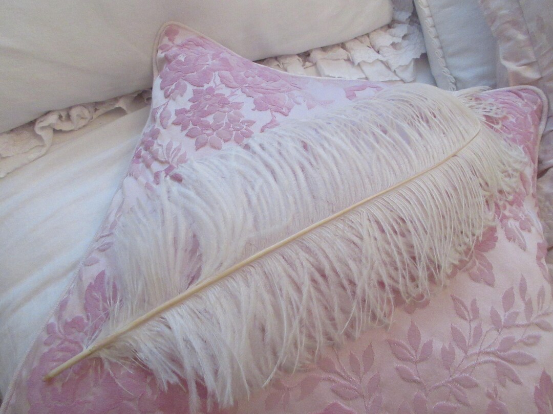 Large White French Ostrich Feather Plume Vintage - Etsy