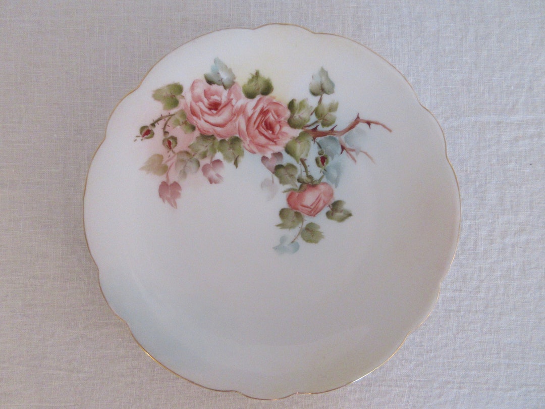 Hand Painted Roses Vintage Plate France - Etsy
