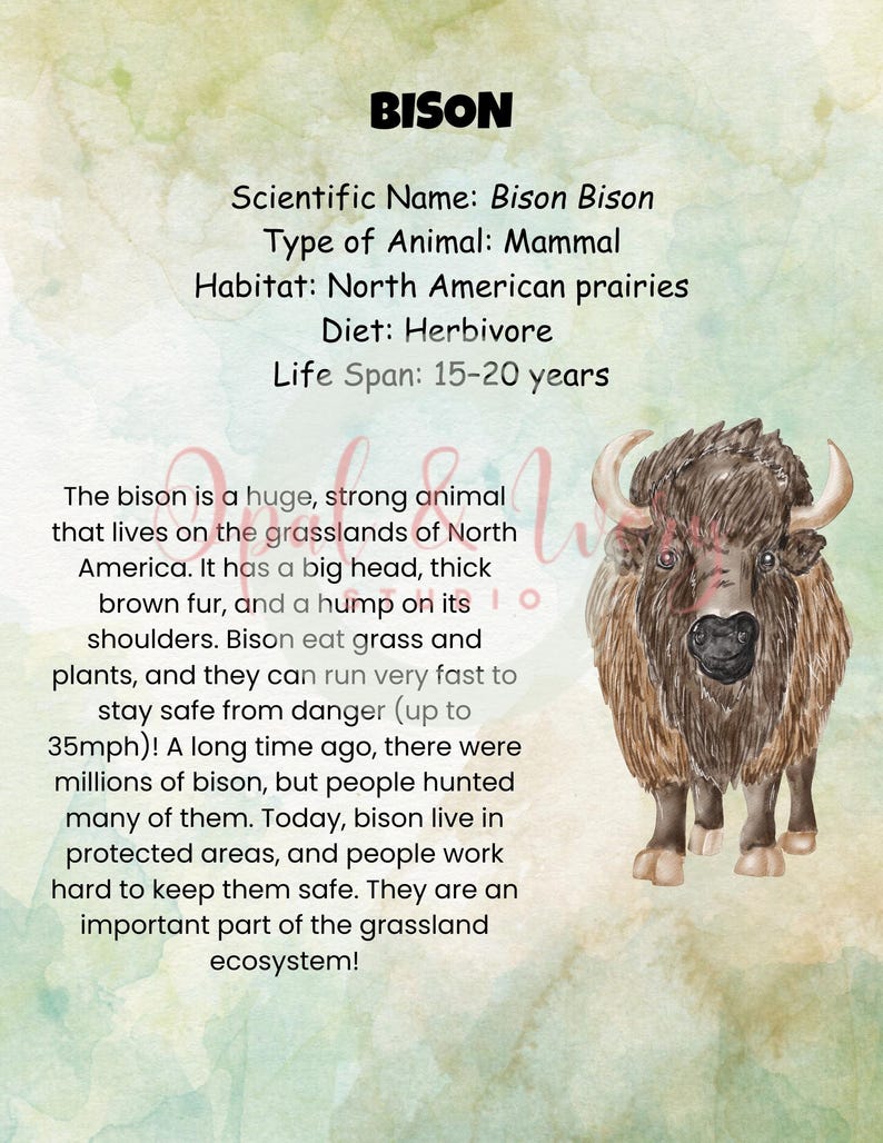 Grassland Animals Worksheets | Science Printable | Animal Habitats ...