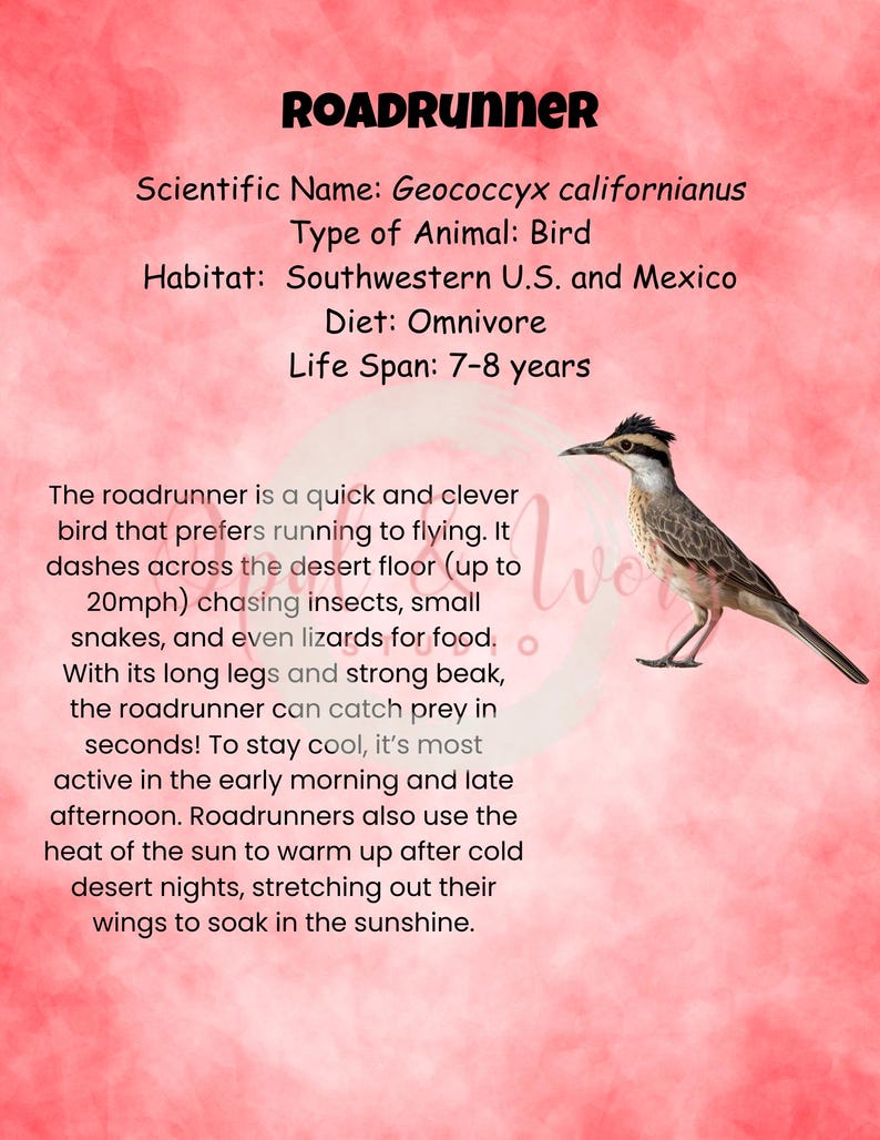 Desert Animals Worksheets | Science Printable | Animal Habitats ...