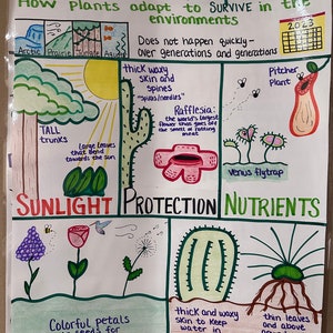 Plant Adaptations Anchor Chart for Elementary, Middle and High School ...