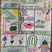 Plant Adaptations Anchor Chart for Elementary, Middle and High School ...