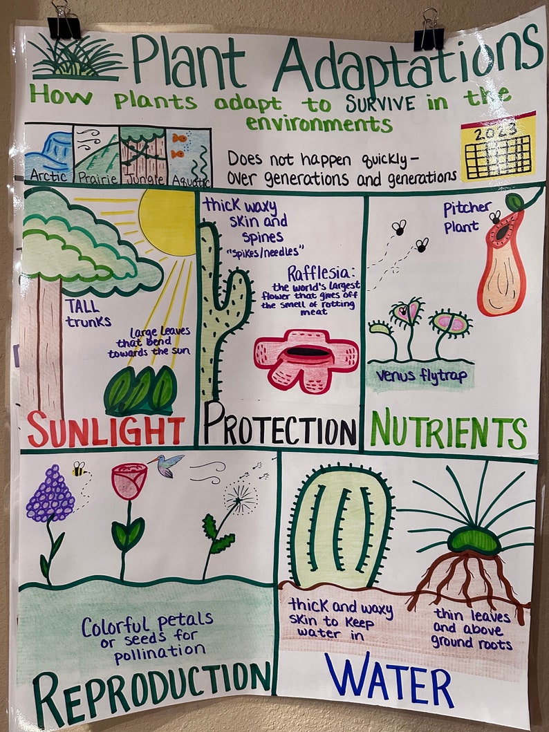 Plant Adaptations Anchor Chart For Elementary Middle And High School Etsy