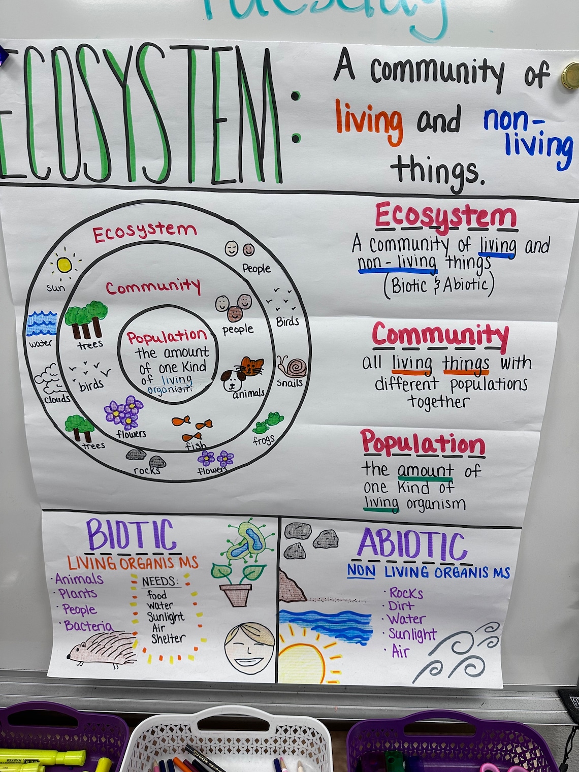 Introduction to Ecosystem Anchor Chart for 5th-8th Grade - Etsy