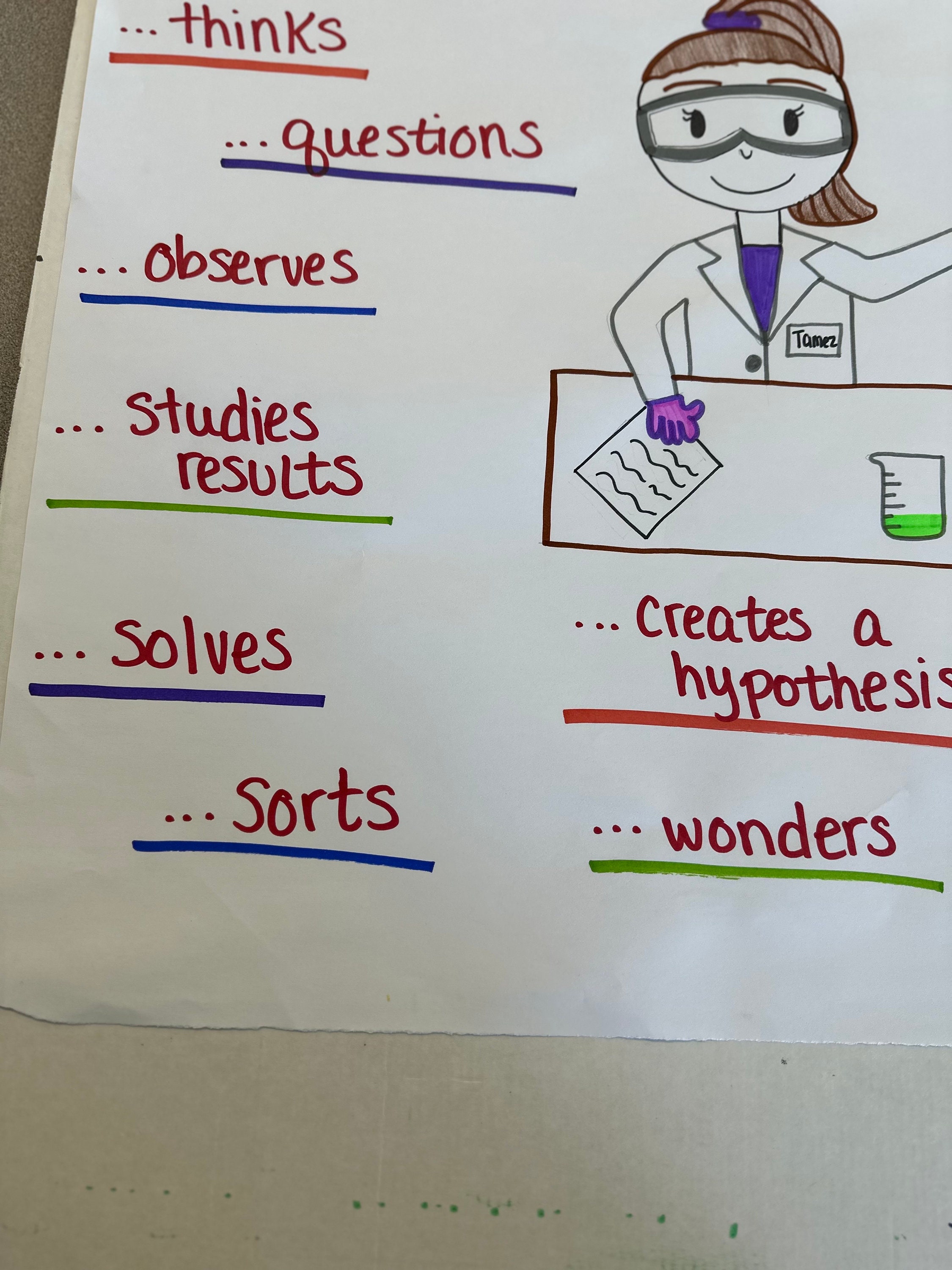What is A Scientist Anchor Chart for Elementary, Middle and High School ...