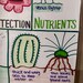 Plant Adaptations Anchor Chart for Elementary, Middle and High School ...