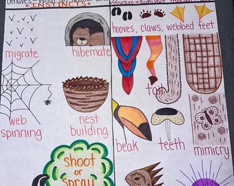 Introduction to Ecosystem Anchor Chart for Elementary, Middle and High ...
