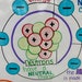 Atomic Structure Anchor Chart for Elementary, Middle and High School - Etsy