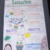 States of Matter Anchor Chart for Elementary, Middle and High School - Etsy