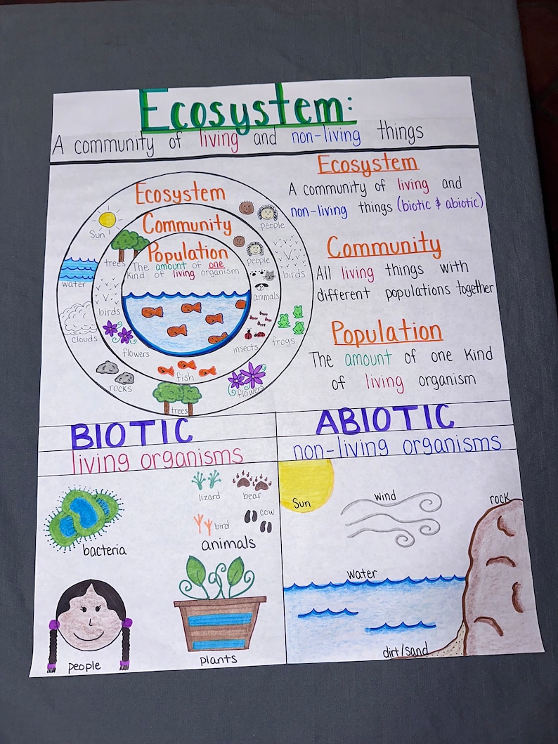 Introduction To Ecosystem Anchor Chart For Elementary Middle And High School Etsy